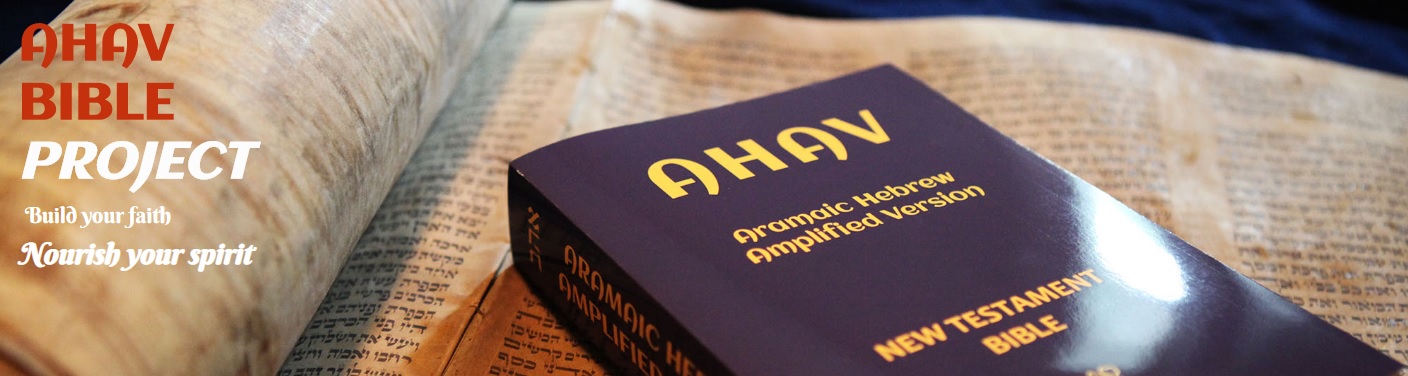 The AHAV Bible – Author Danyelle Read